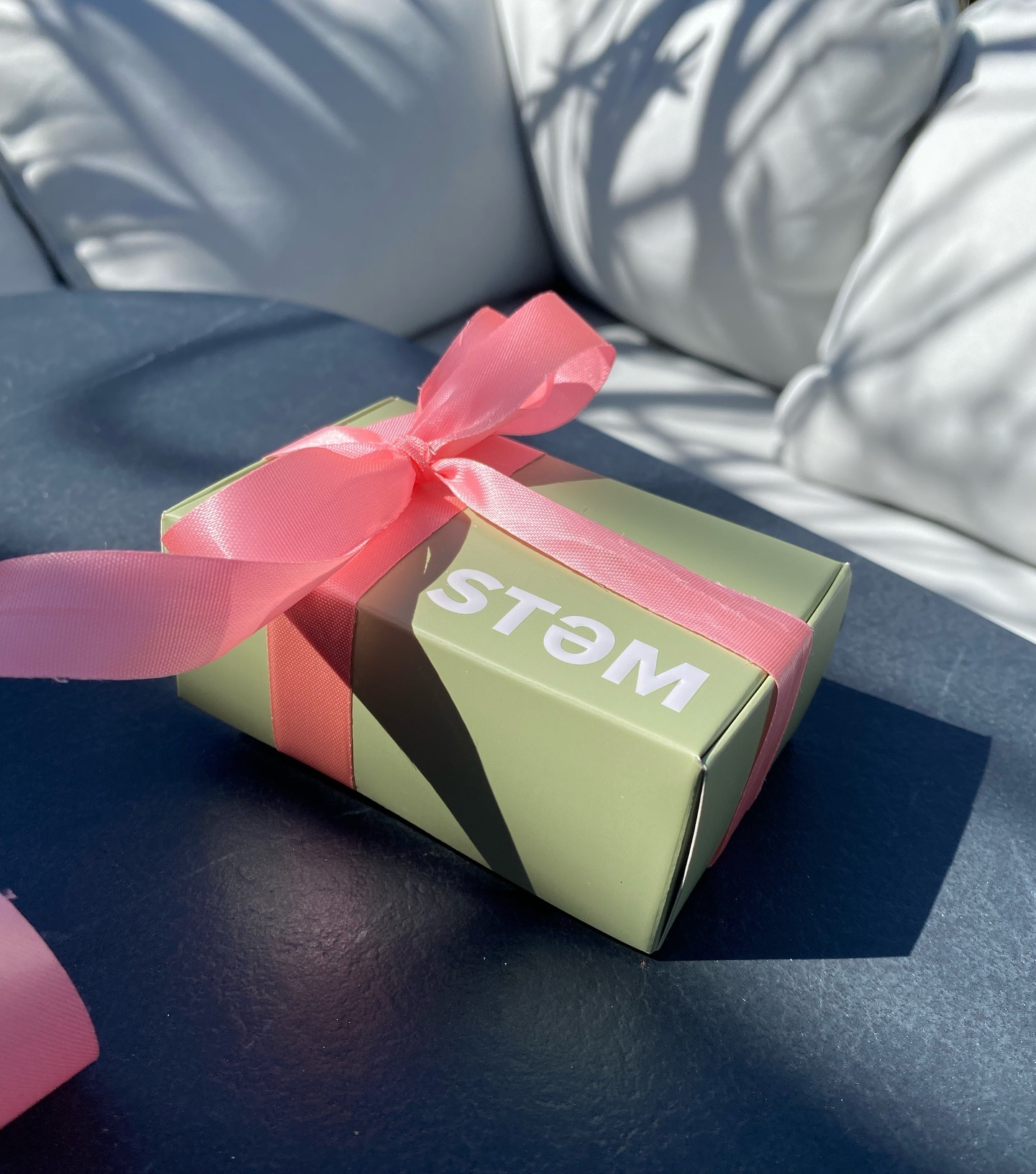 Buy Psilocybin Chocolate - STEM Magic Shroom Chocolates Canada