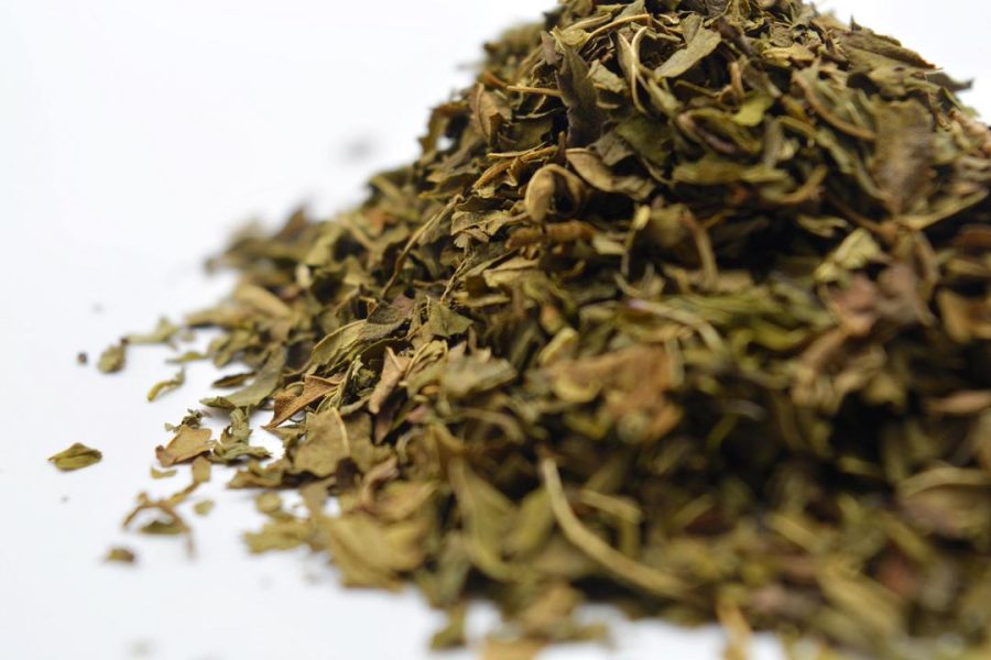 Psilocybin Mushroom Peppermint Tea - Stem Chocolate