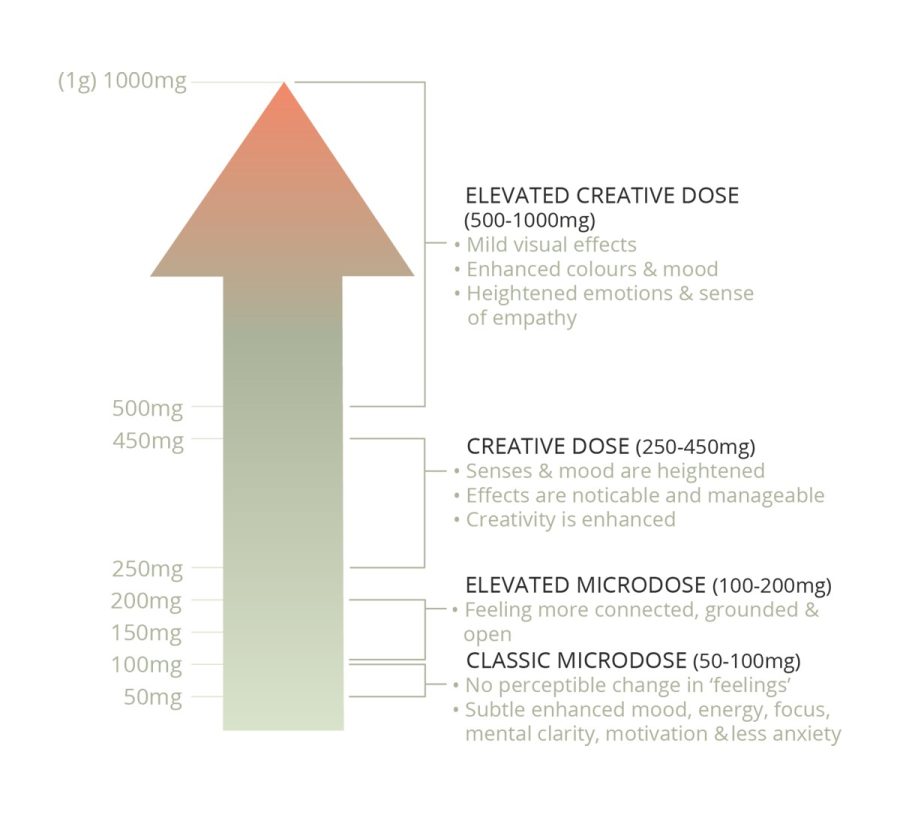 How To Microdose Chocolate - Shroom Chocolate Dosage Chart