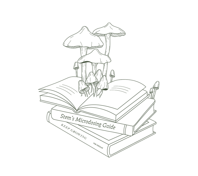 How To Microdose Chocolate - Shroom Chocolate Dosage Chart