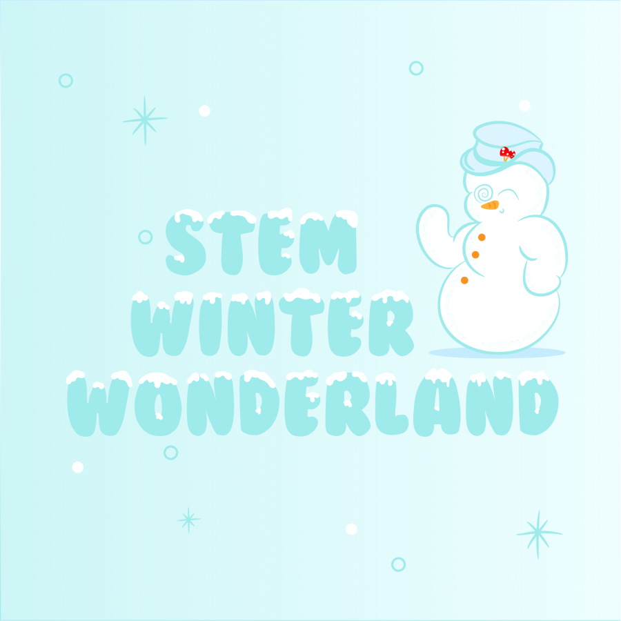 STEM WINTER WONDERLAND (2021) PSILOCYBIN CHOCOLATE - Stem Chocolate