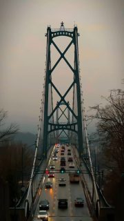 How To Microdose Chocolate - Shroom Chocolate Dosage Chart